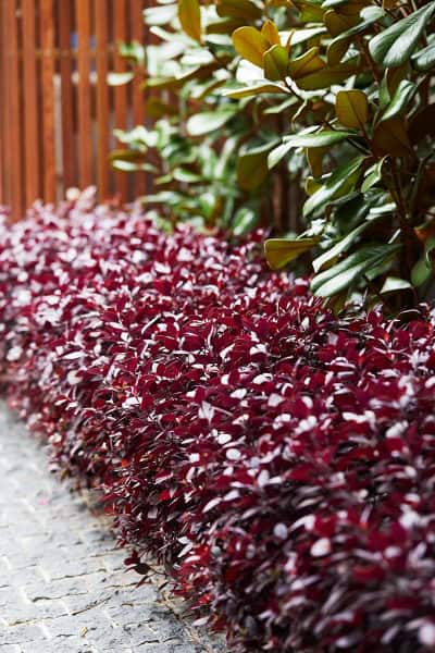 Landscaping Stanmore NSW 2048 | Sand & Stone Landscapes